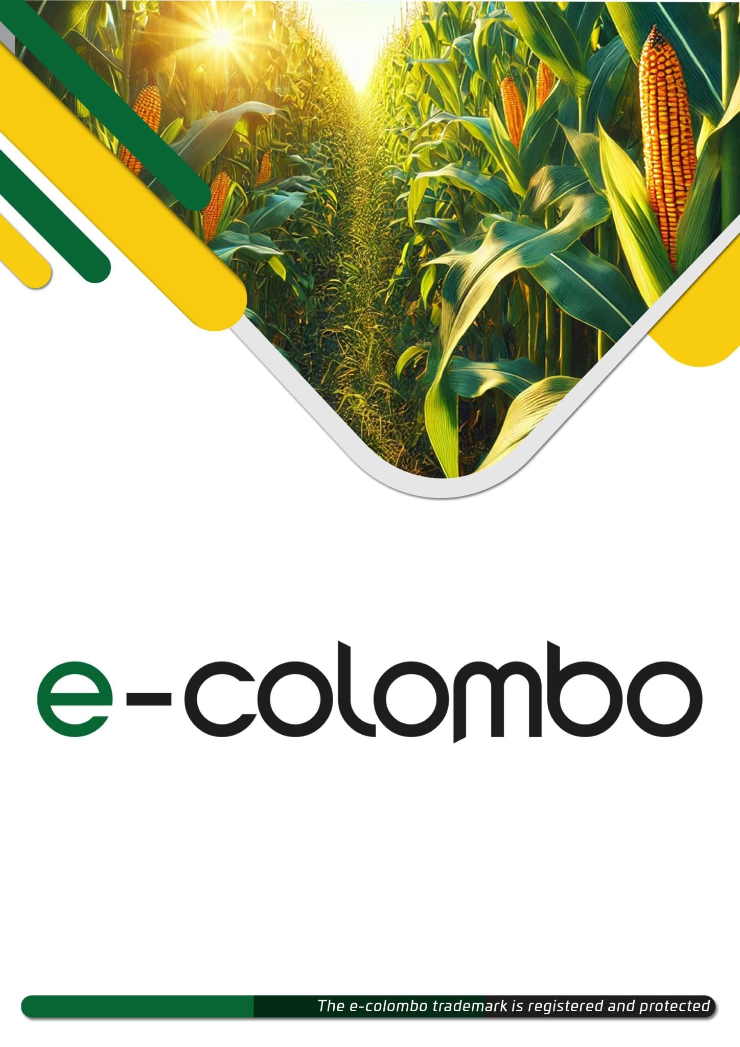 Catalogo • e-colombo